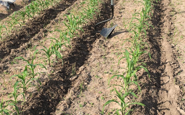 THE DUC's Handy Plow - Incredible Garden tool – THE DUC