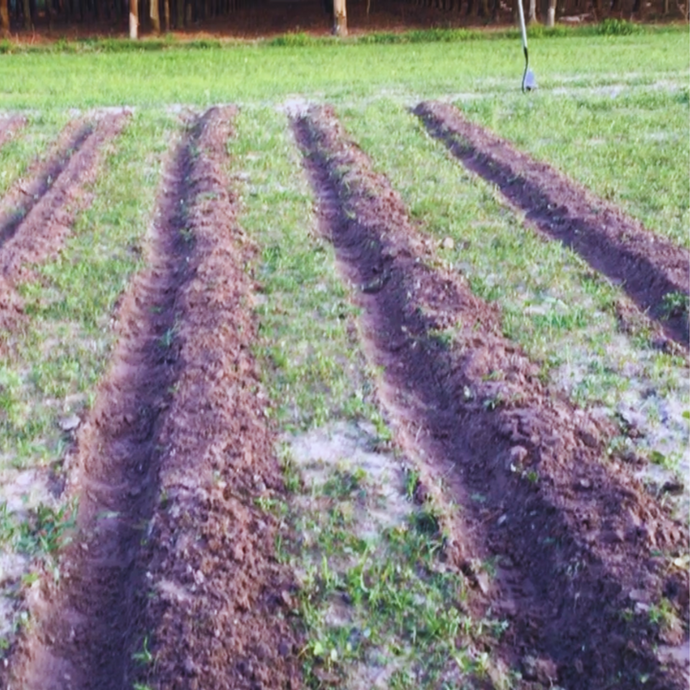 THE DUC's Handy Plow - Incredible Garden tool – THE DUC